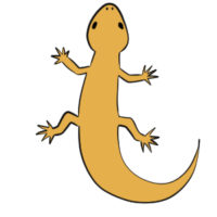 トカゲのイラストの簡単な書き方 手書きで描くなら? | イラストの簡単な書き方あつめました